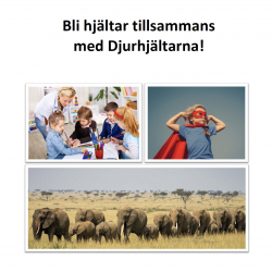 Talrad 0-10 med uppgifter - Djurhjältarna